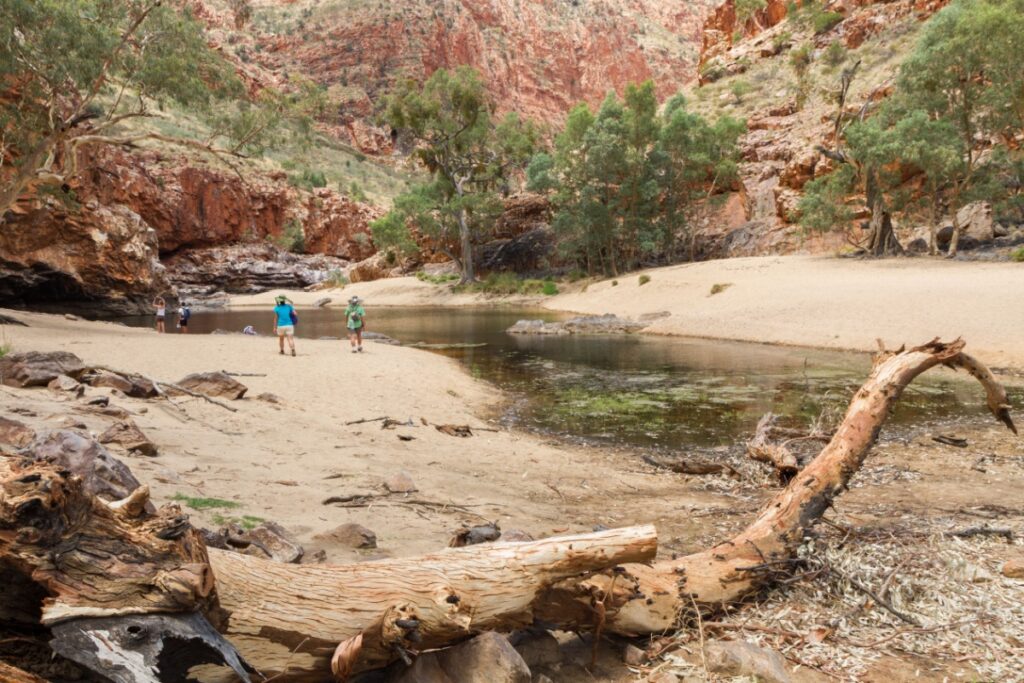 Team Building Activities Alice Springs
